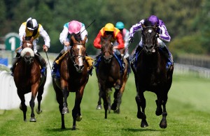 Horse Racing Slang | Meanings of Horse Racing Terms
